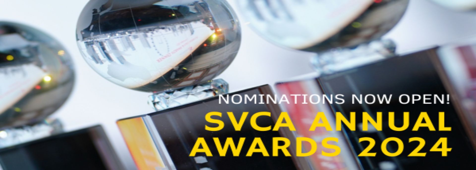 Singapore Venture Capital & Private Equity Association