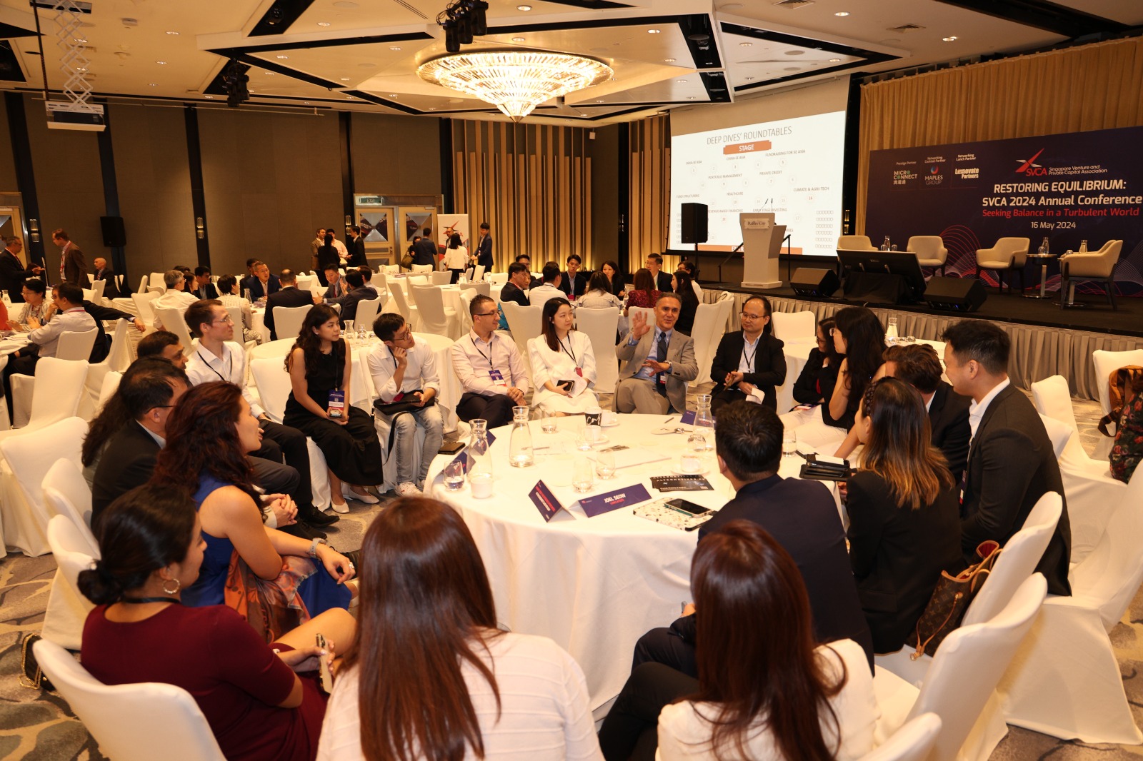 Restoring Equilibrium: SVCA 2024 Annual Conference - Seeking balance in ...